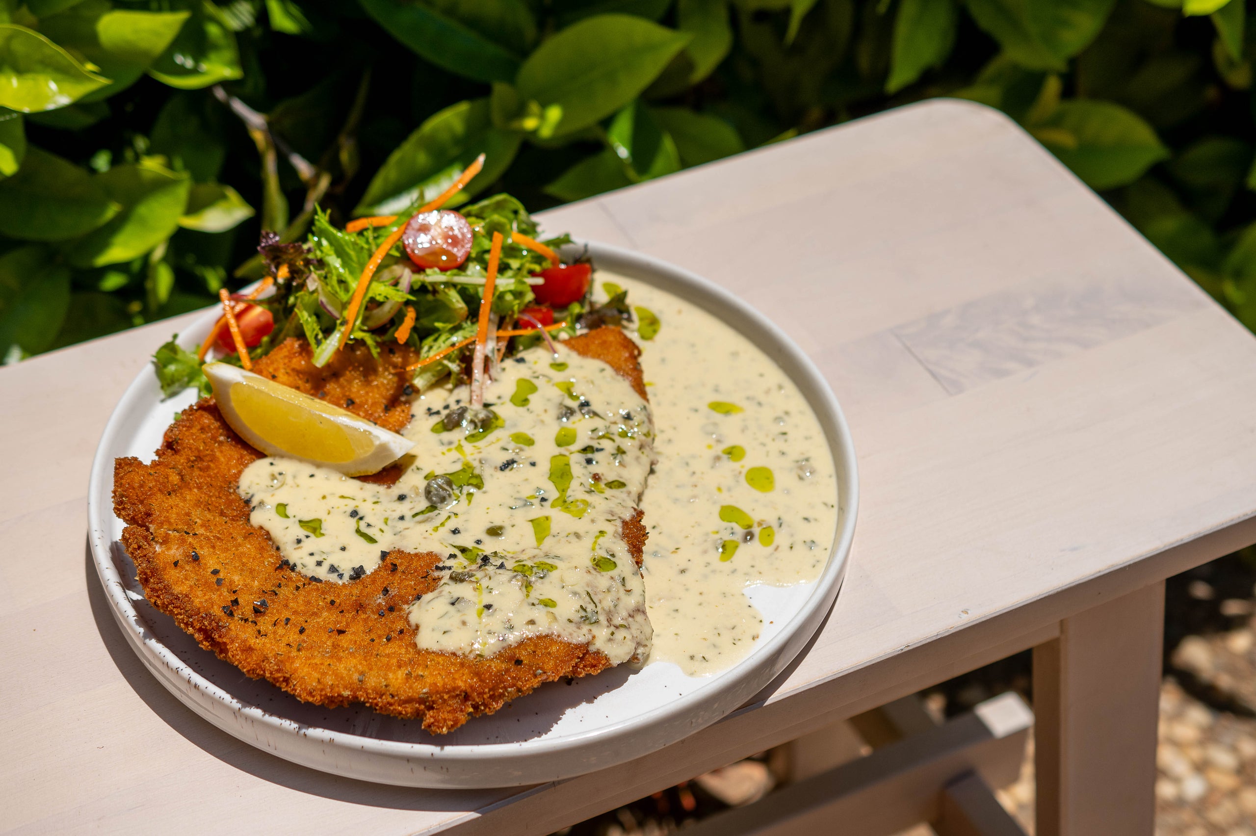 Chicken Piccata and Salad | Bambino Espresso
